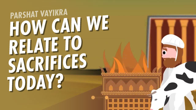 The Spiritual Meaning Of Biblical Animal Sacrifices And Offerings